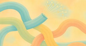 India’s fiber-optic revolution — Weaving a web of influence ...